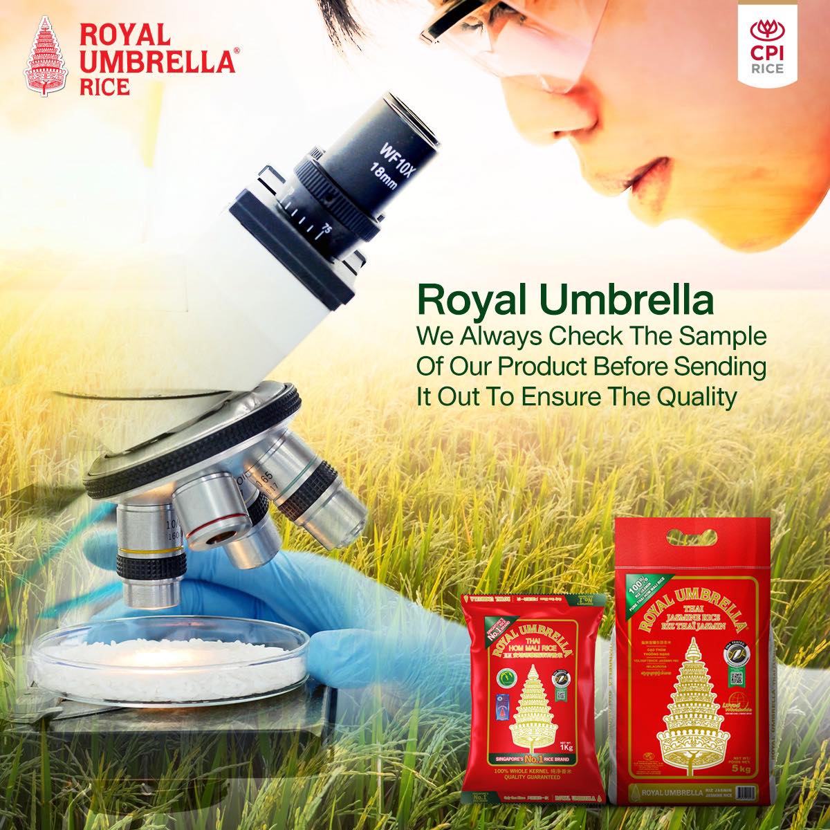 Best Thai Jasmine Rice Brand | Royal Umbrella